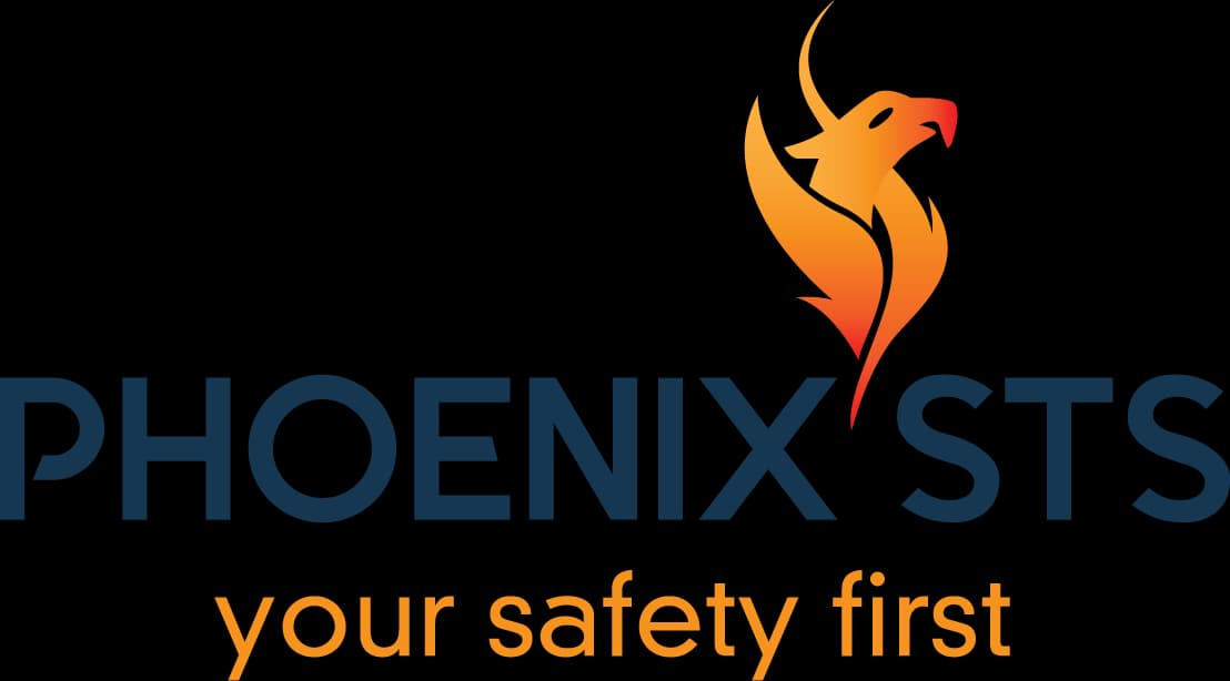 Phoenix STS Posts